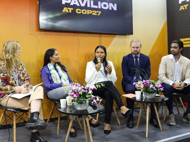 Reflections from Youth Focused Panel at COP 27 | African Climate and Development Initiative